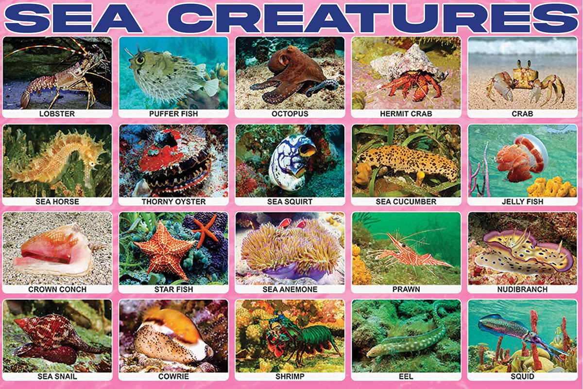 Buy Educational for Wall| for Play School, Kids Room, Libraries|Sea ...