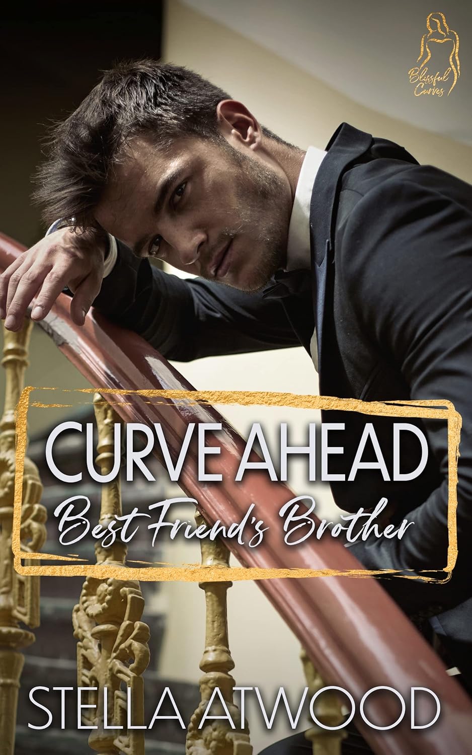 Curve Ahead: Best Friend's Brother: A Curvy Girl Romance (Blissful ...