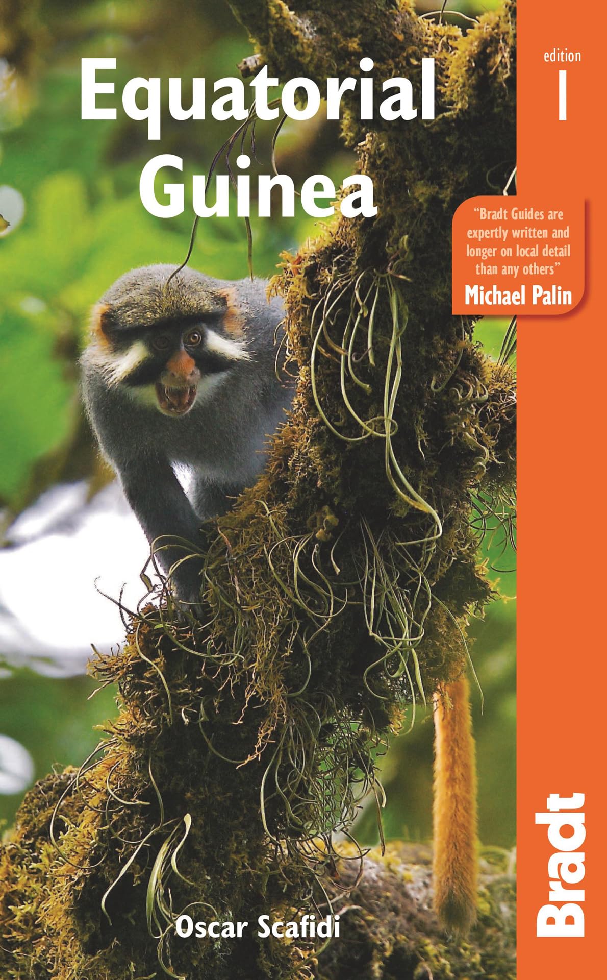 Equatorial Guinea (Bradt Travel Guides): The Bradt Travel Guide: Amazon ...
