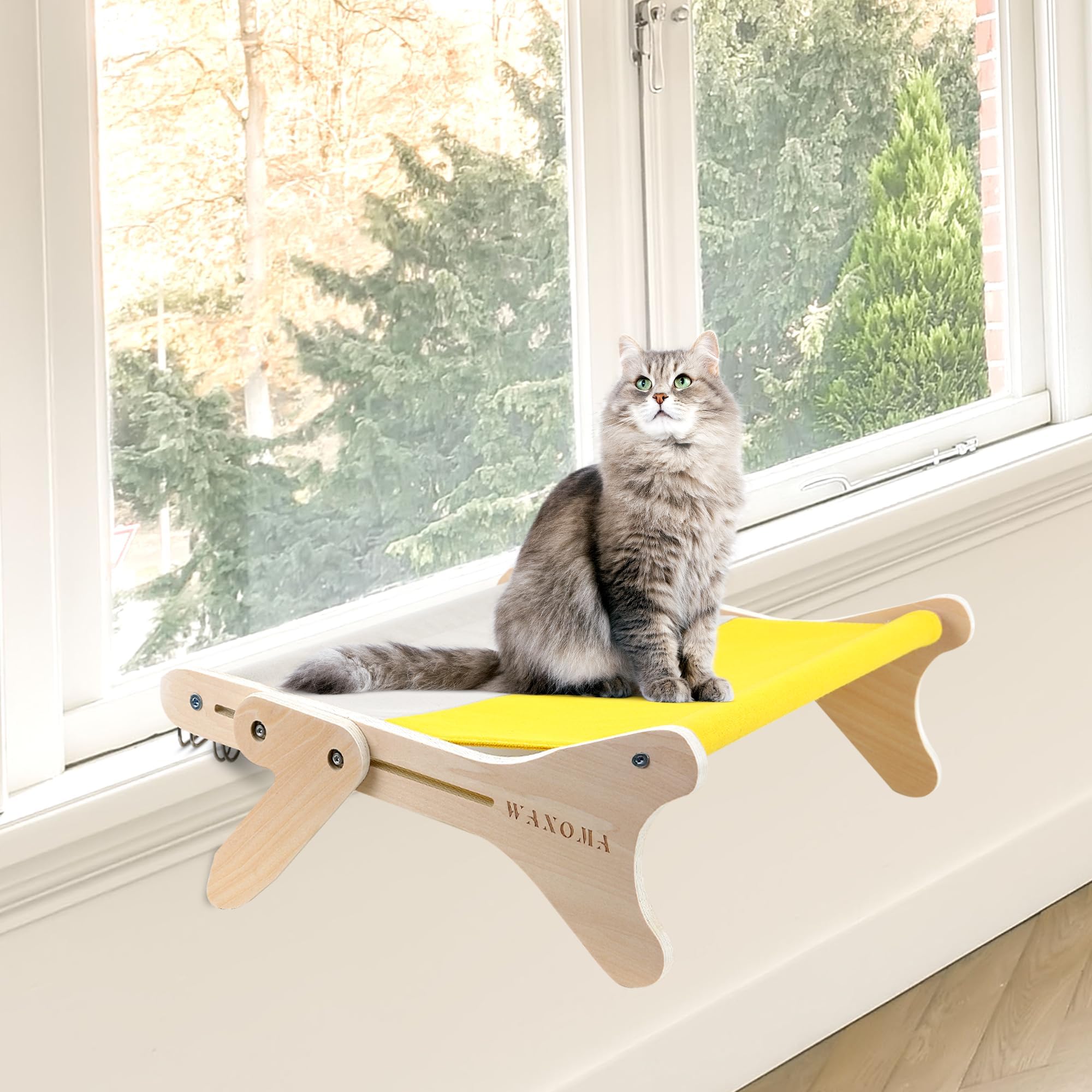 Amazon.com : COZIWOW Window Cat Perch Cat Window Hammock for Indoor ...