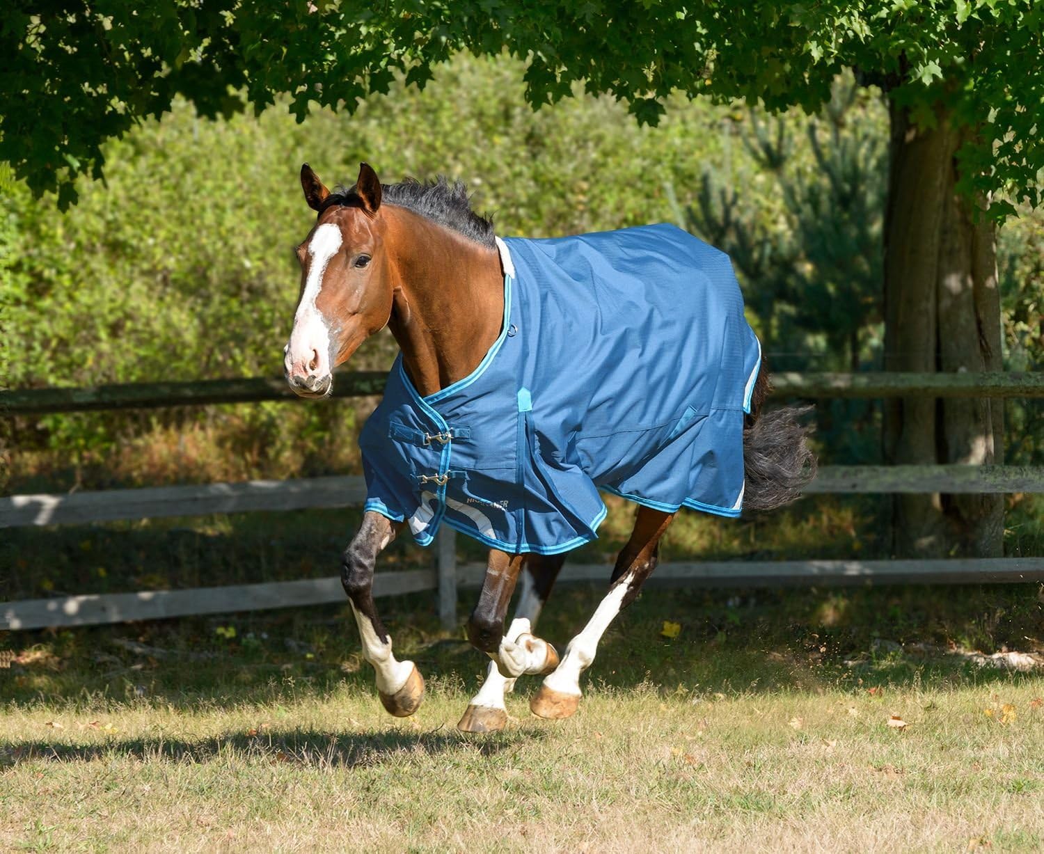 Amazon.com: Shires Highlander Lite Turnout Blanket : Pet Supplies