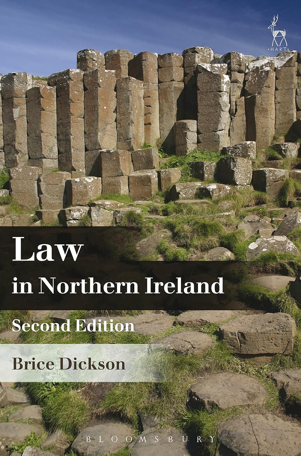 Amazon.com: Law in Northern Ireland: Second Edition: 9781849464598 ...