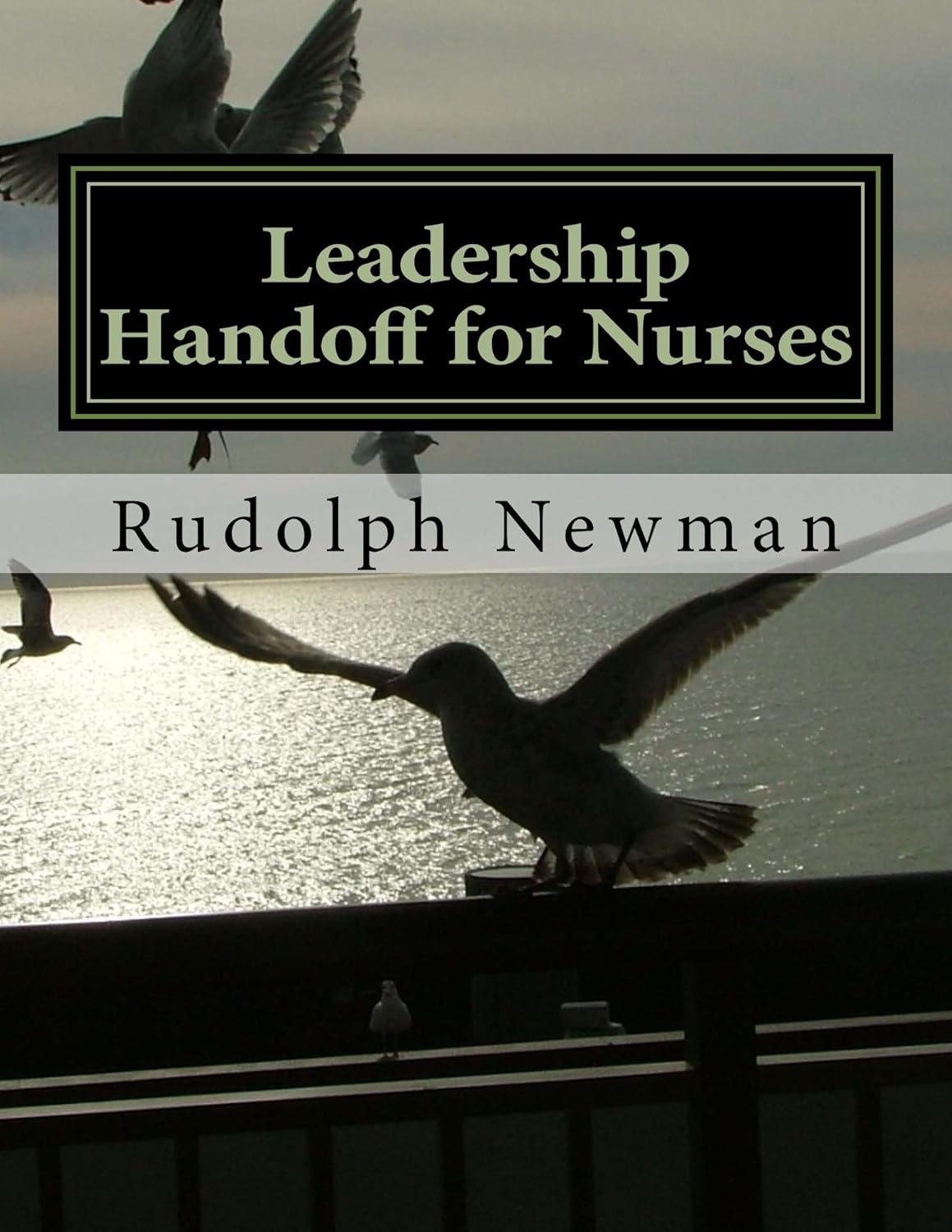 Amazon.com: Leadership Handoff eBook : Newman, Rudolph: Kindle Store