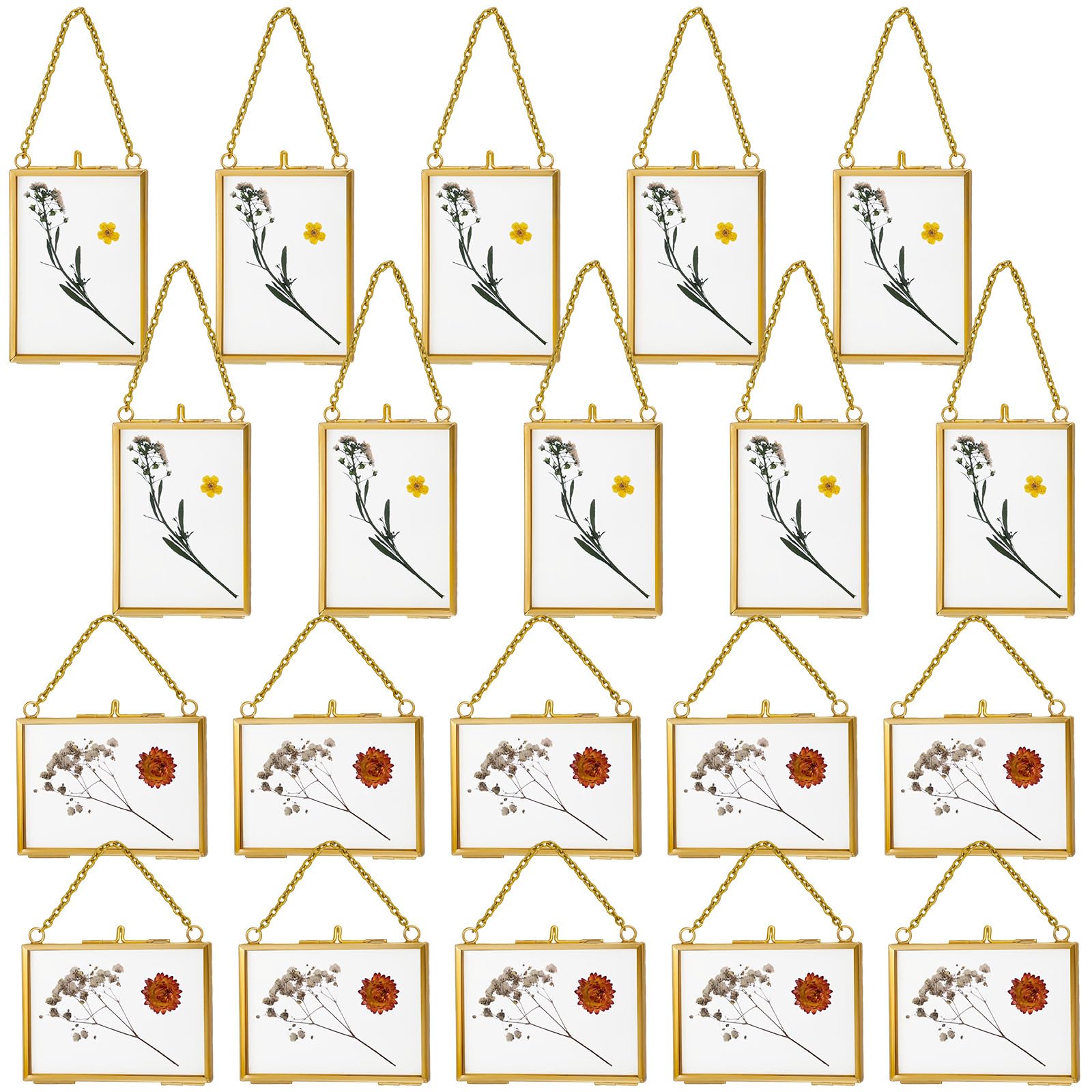 Amazon.com - Kigley 20 Pcs Double Glass Frame for Pressed Flowers ...