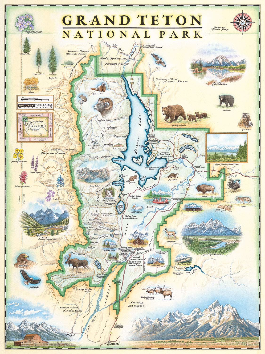 Amazon.com: Grand Teton National Park Map Poster – 18x24 Vintage-Style ...