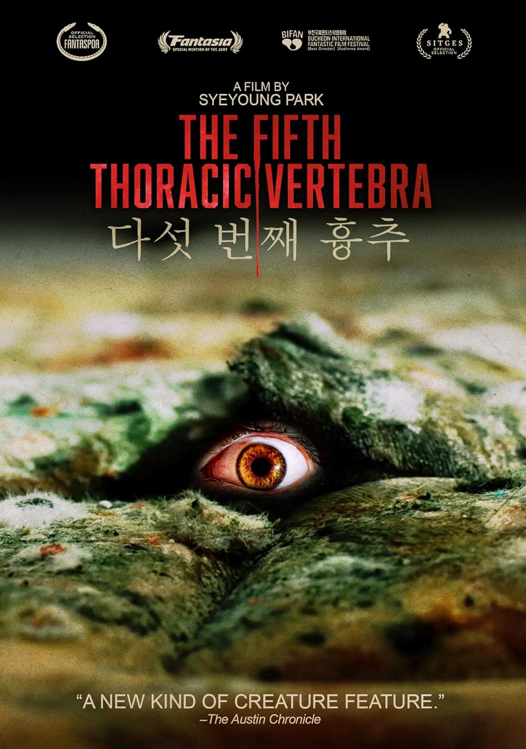 Amazon.com: The Fifth Thoracic Vertebra [DVD] : Park Sye-young: Movies & TV