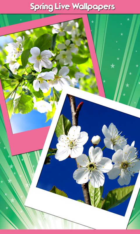 Spring Live Wallpapers - App on Amazon Appstore
