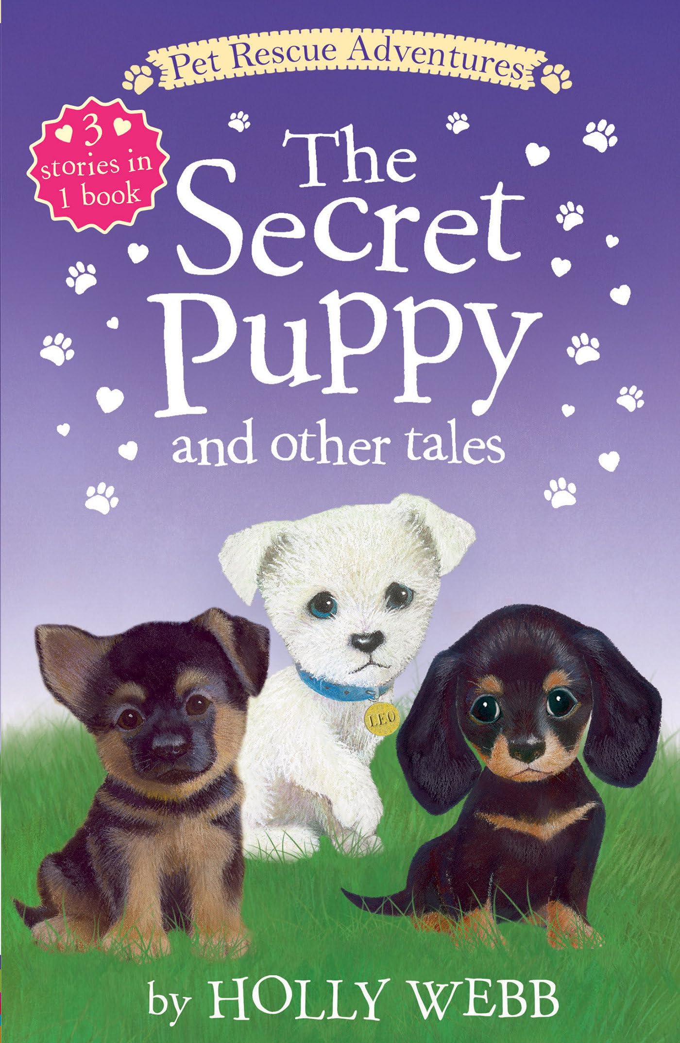 Amazon.com: The Secret Puppy and Other Tales (Pet Rescue Adventures ...