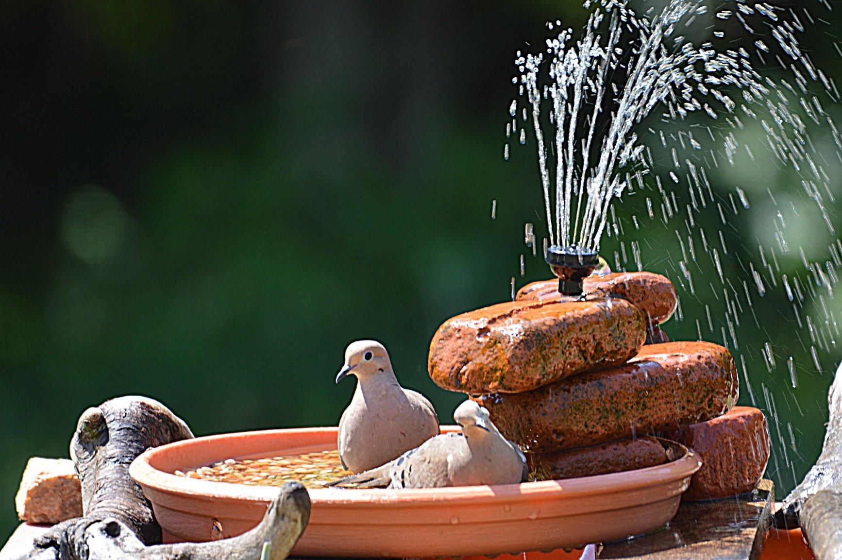 Amazon.com : Algreen Manhattan Contemporary Terra Cotta Water Feature ...