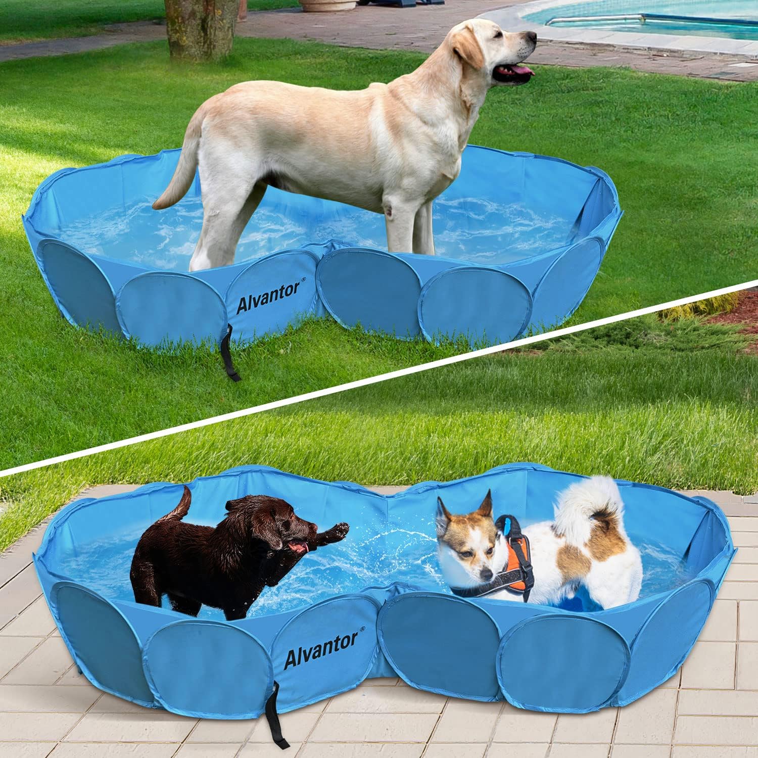 Amazon.com: Alvantor Pet Double Swimming Pool Dog Bathing Tub, Hard ...