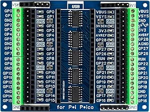 Amazon.com: risingsaplings for Pi Pico LED Breakout Board 2.54mm Female ...