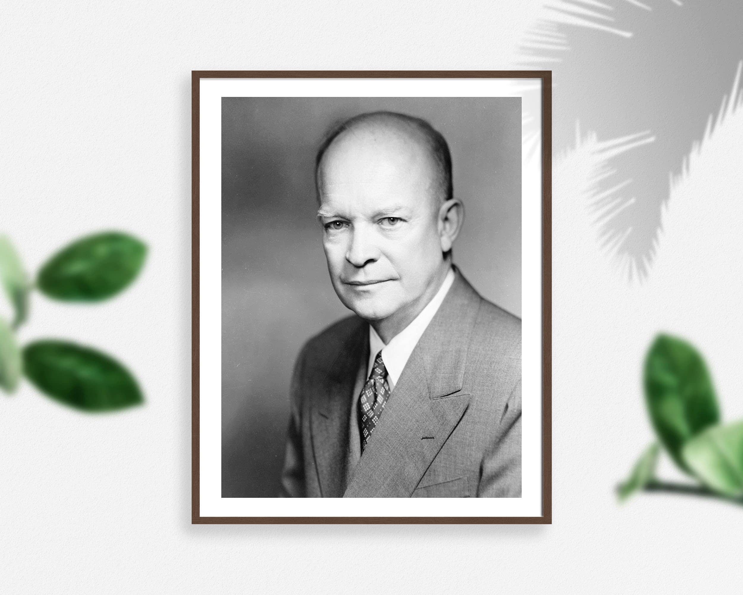 Old Dwight D Eisenhower The 10 Oldest U.S. Presidents | National News