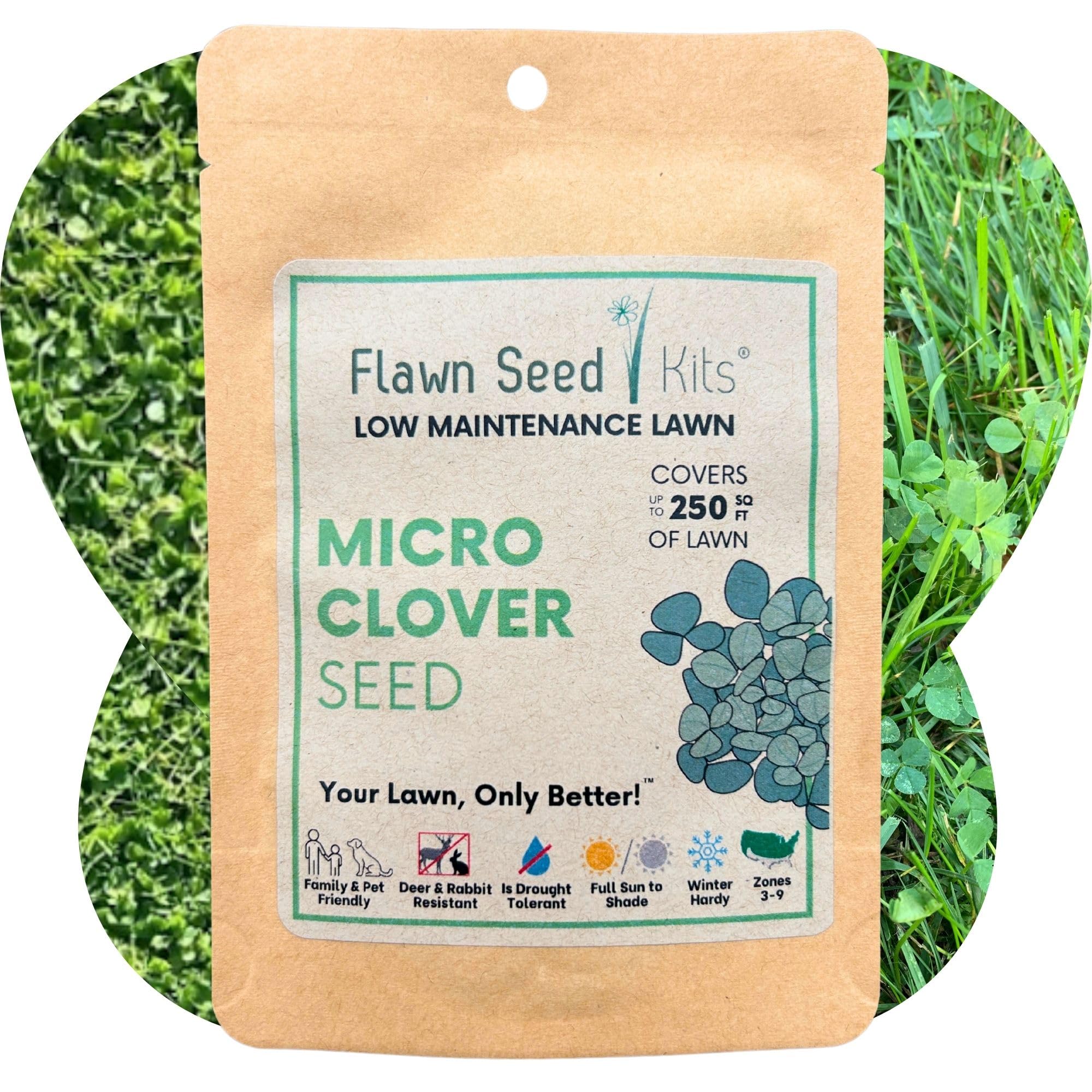 Amazon.com : Flawn Seed Kits Micro Clover Seed, Organic Coated, Eco ...