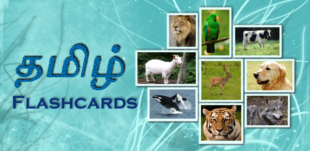 Tamil Flash Cards For Kids - App on Amazon Appstore