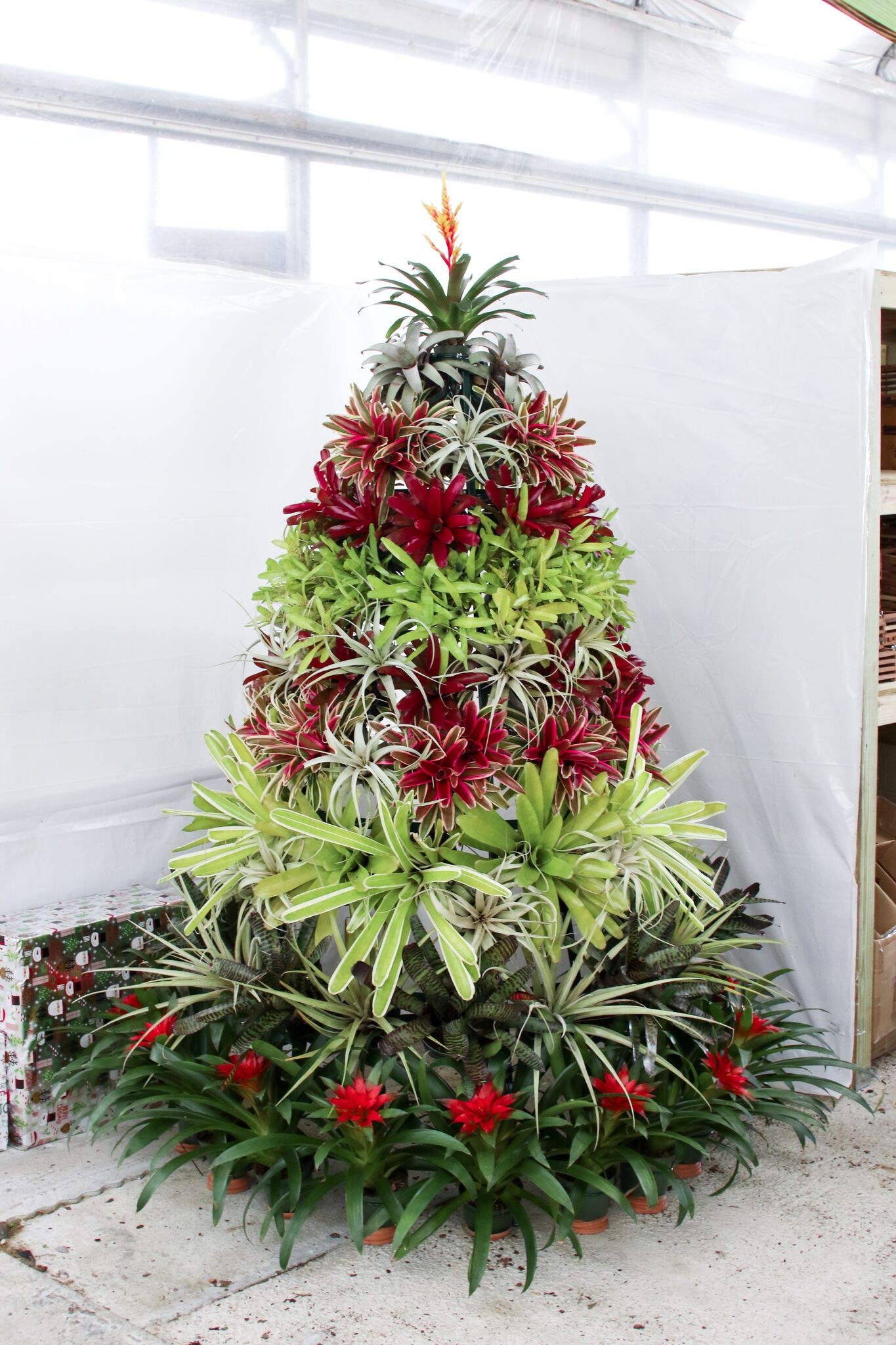 Poinsettia Tree Stand