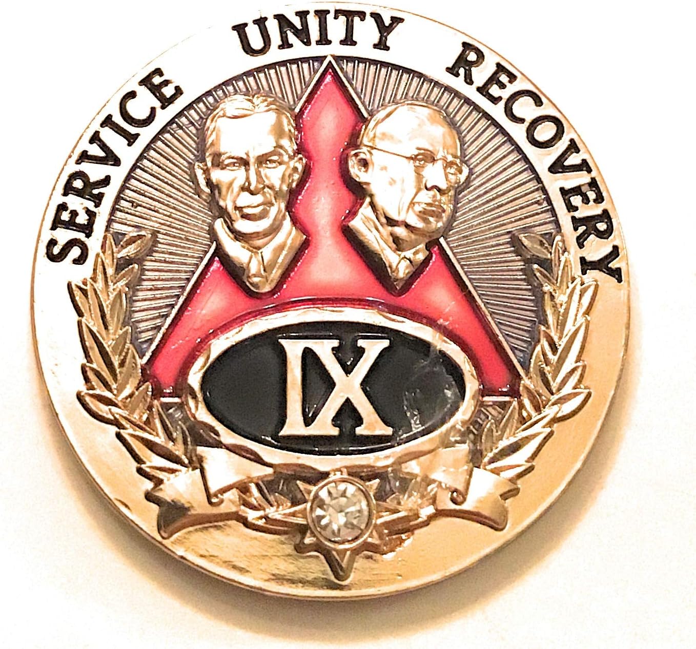 Amazon.com: 9 Year AA Medallion - Alcoholics Anonymous Red & Gold with ...