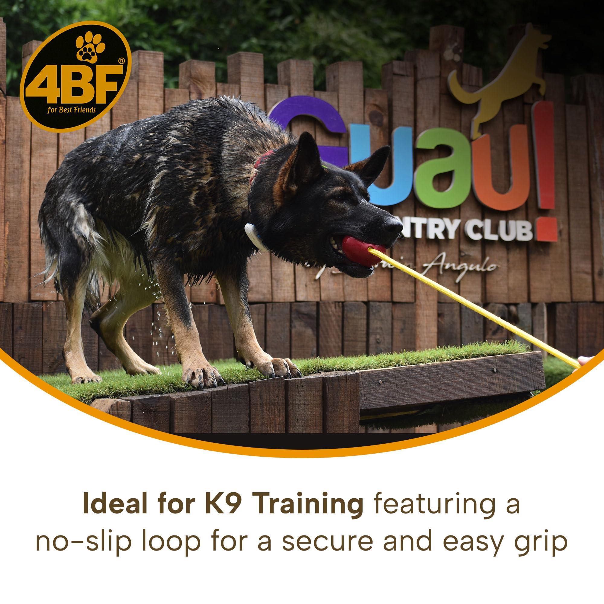 Snapklik.com : Crazy Bounce Ball On A Rope, Natural Rubber Dog Ball ...