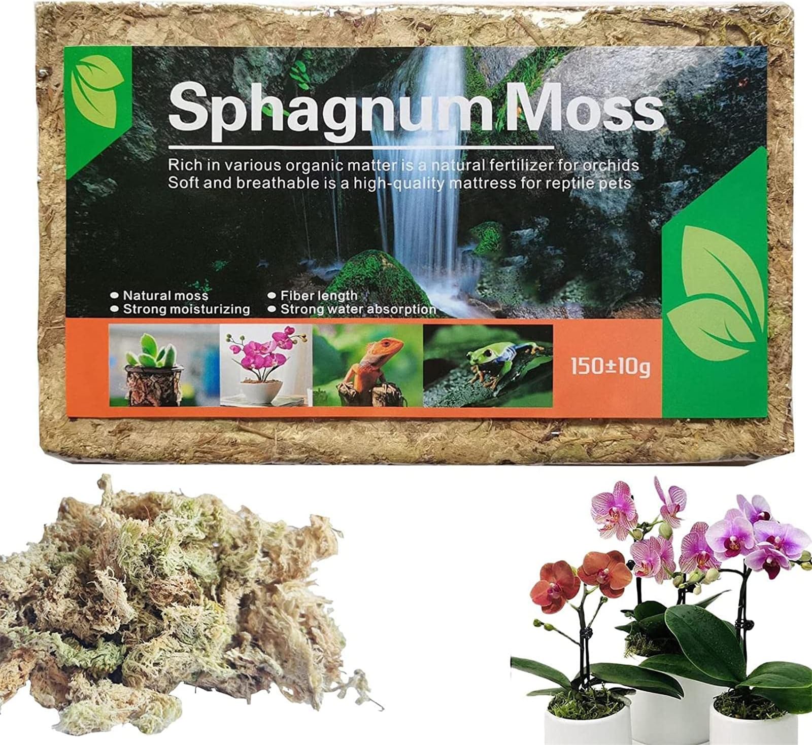 Yilotuce Sphagnum Moos, 90 g spaghnummoss für Orchideen, Gutes ...