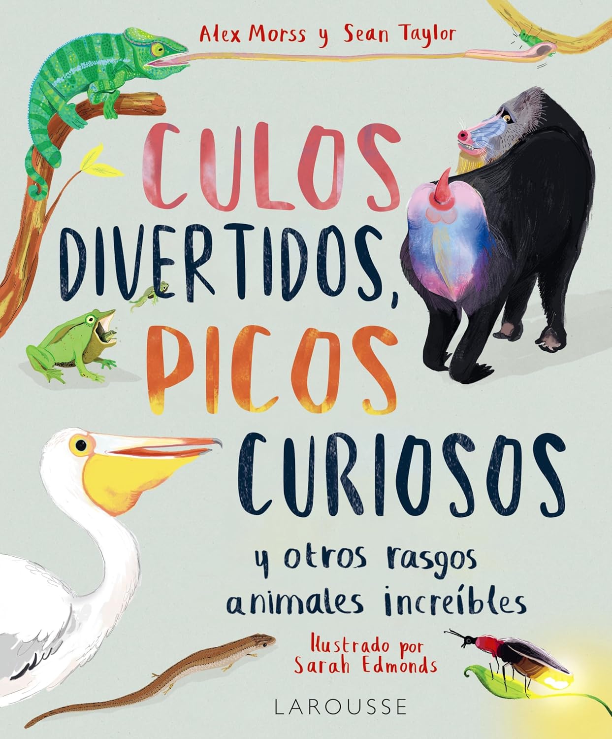 Culos divertidos, picos curiosos: Y otros rasgos animales increíbles ...