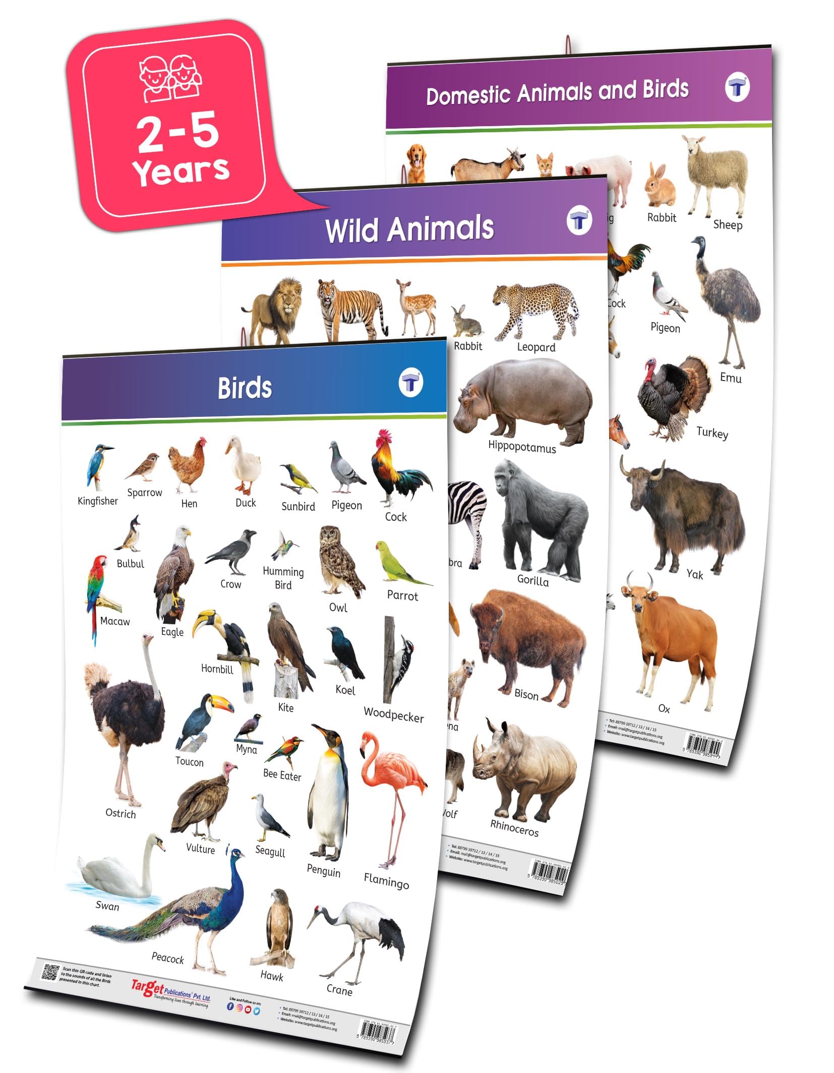 Buy Kids Learning Wall Chart | Domestic Animals, Wild Animals & Birds ...