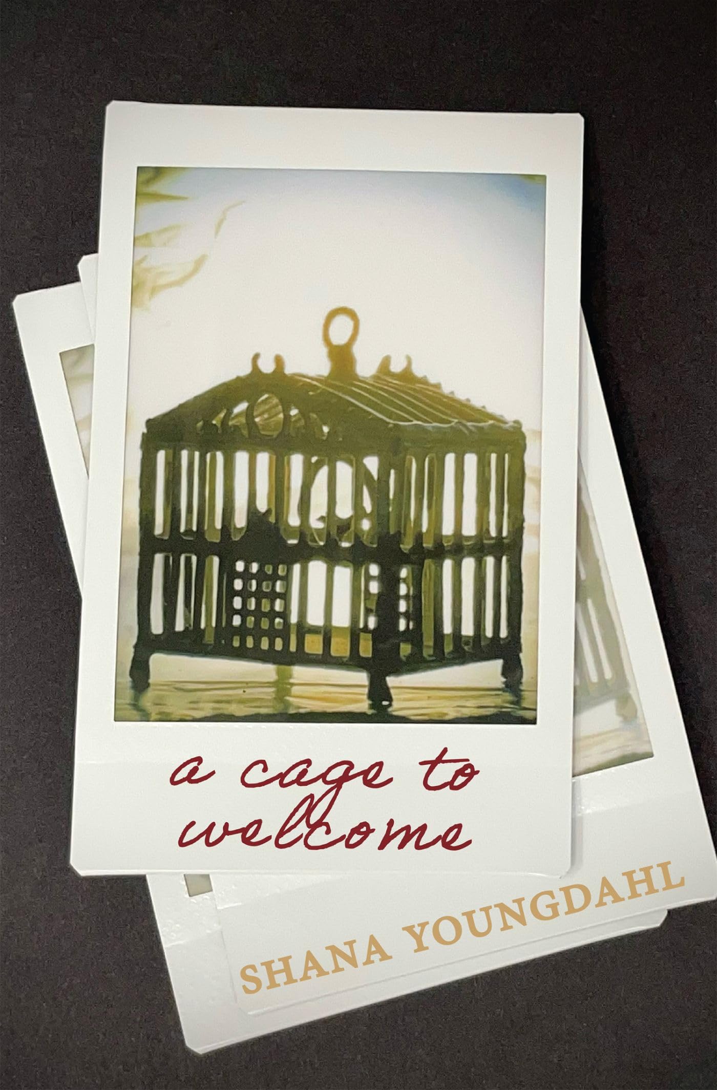 Amazon.com: A Cage to Welcome: 9781622889518: Youngdahl, Shana: Books