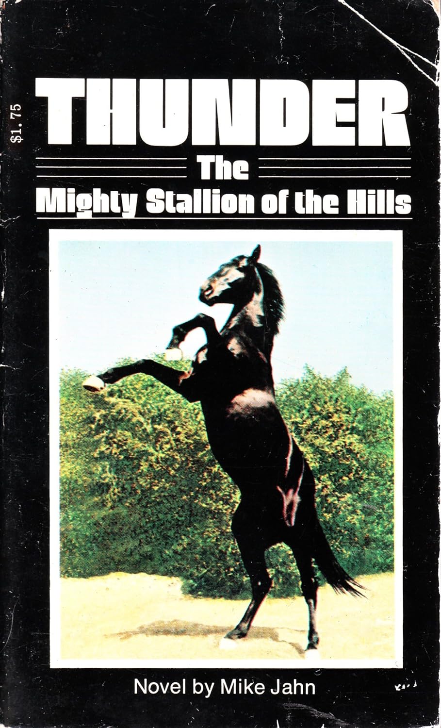 Thunder The Mighty Stallion Of The Hills: JAHN, MIKE: Amazon.com: Books