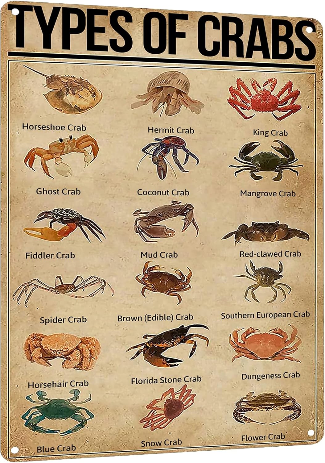 Amazon.com: HYBLOM Vintage Types Of Crabs Metal Sign - Educational Crab ...