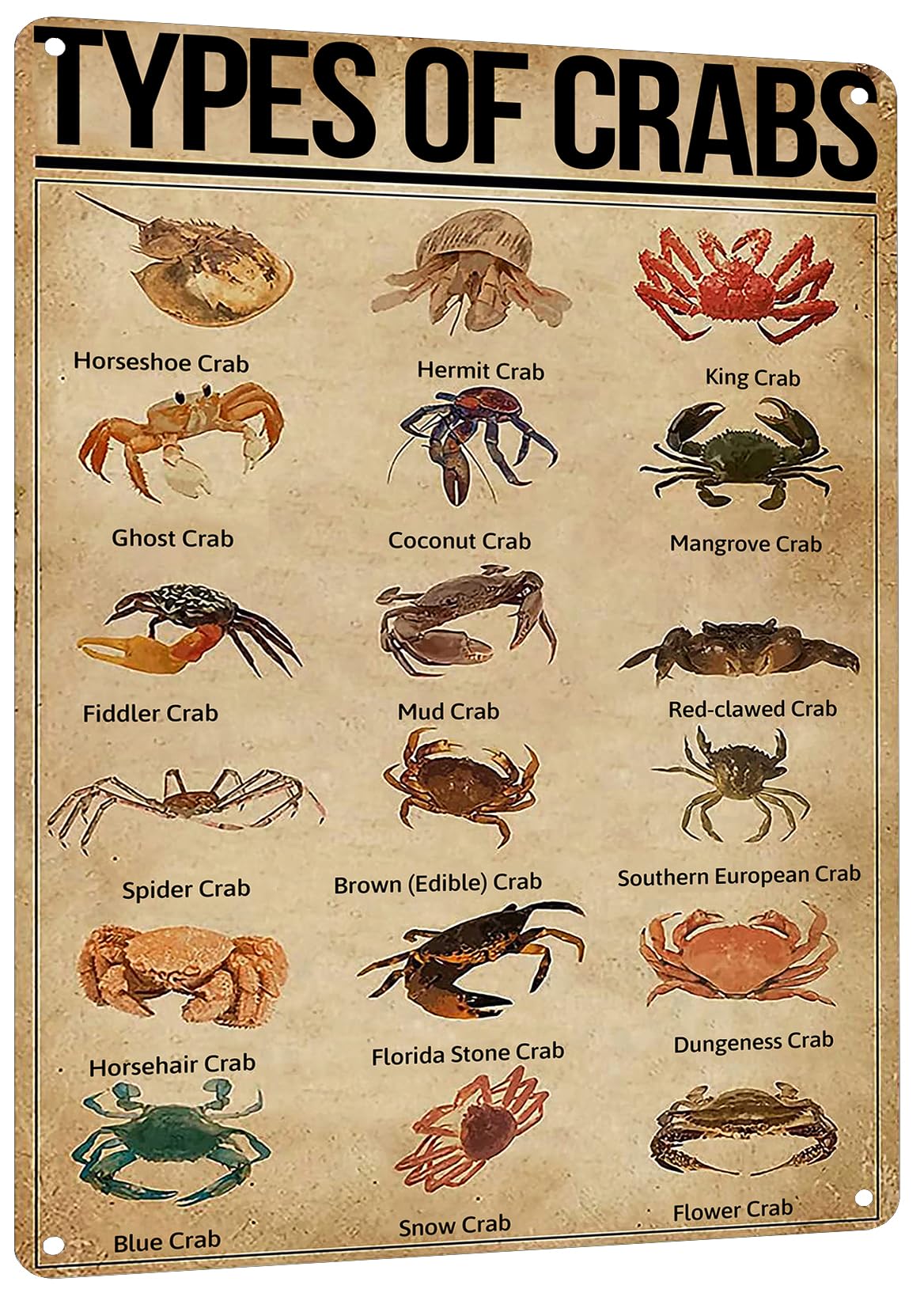 Amazon.com : HYBLOM Vintage Types Of Crabs Metal Sign - Educational ...