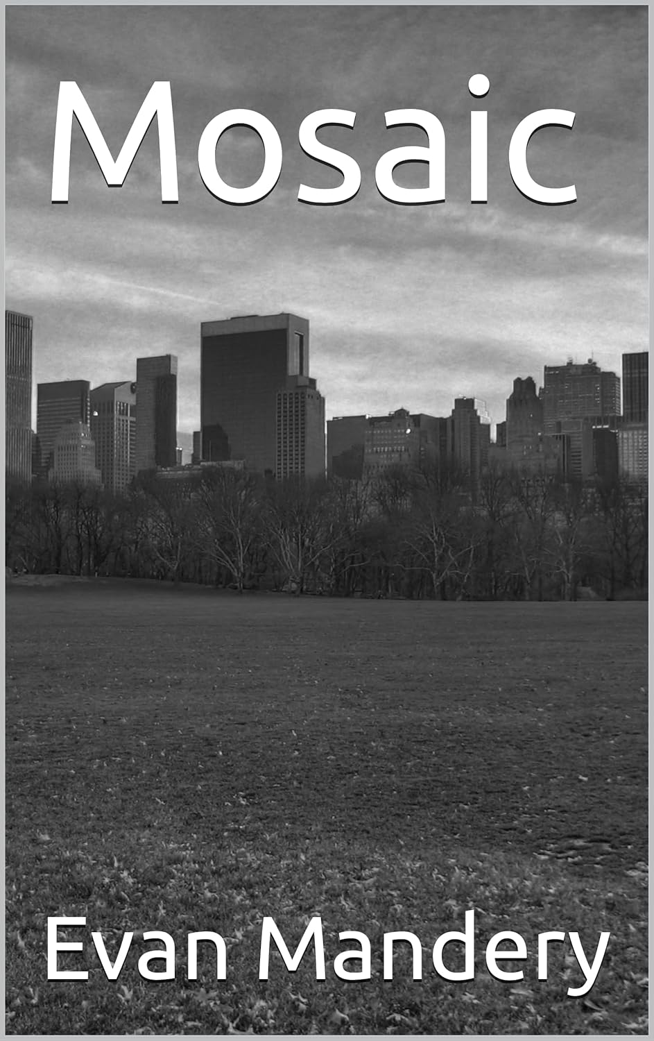 Amazon.com: Mosaic eBook : Mandery, Evan: Kindle Store