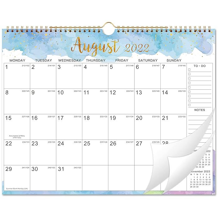 Buy Amazon Brand - Eono Wall Calendar 2022-2023, Wall Planner Calendar ...