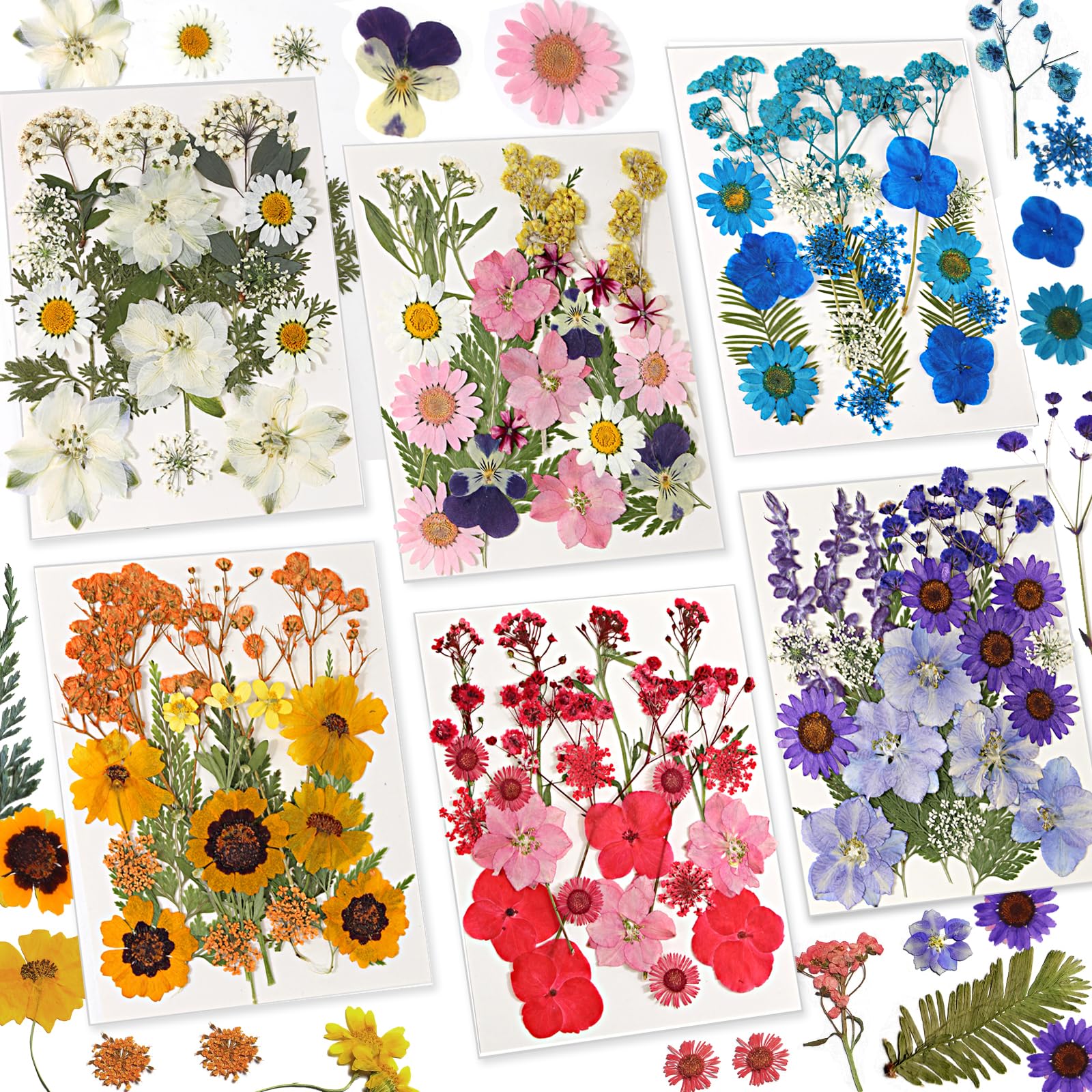 Snapklik.com : Dried Flowers For Resin, 103pcs Natural Flowers And ...
