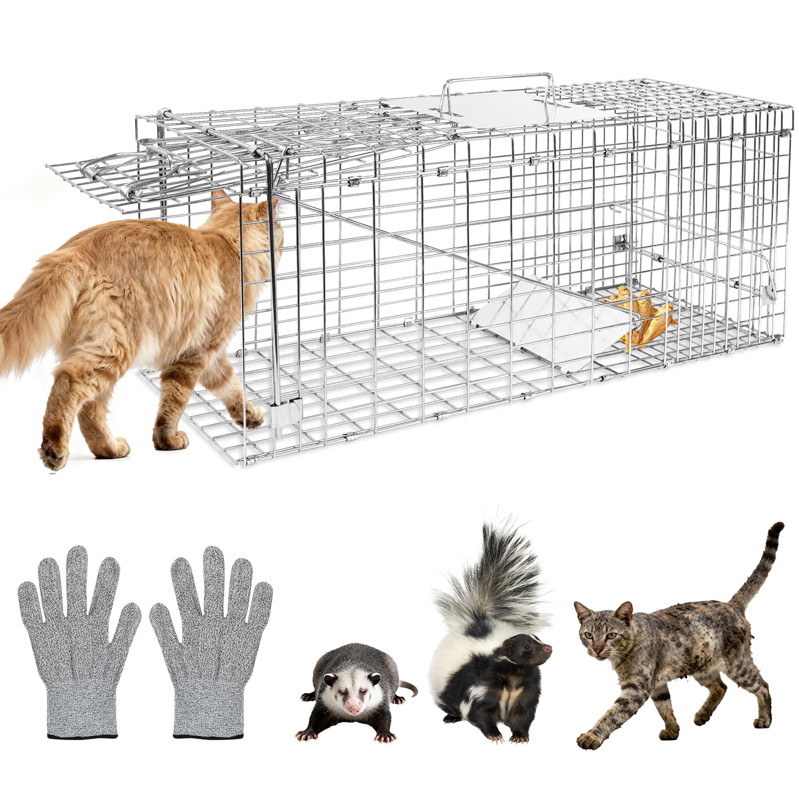 7 Best Fox Traps | 42-Inch Trap That Actually Stops a Fox