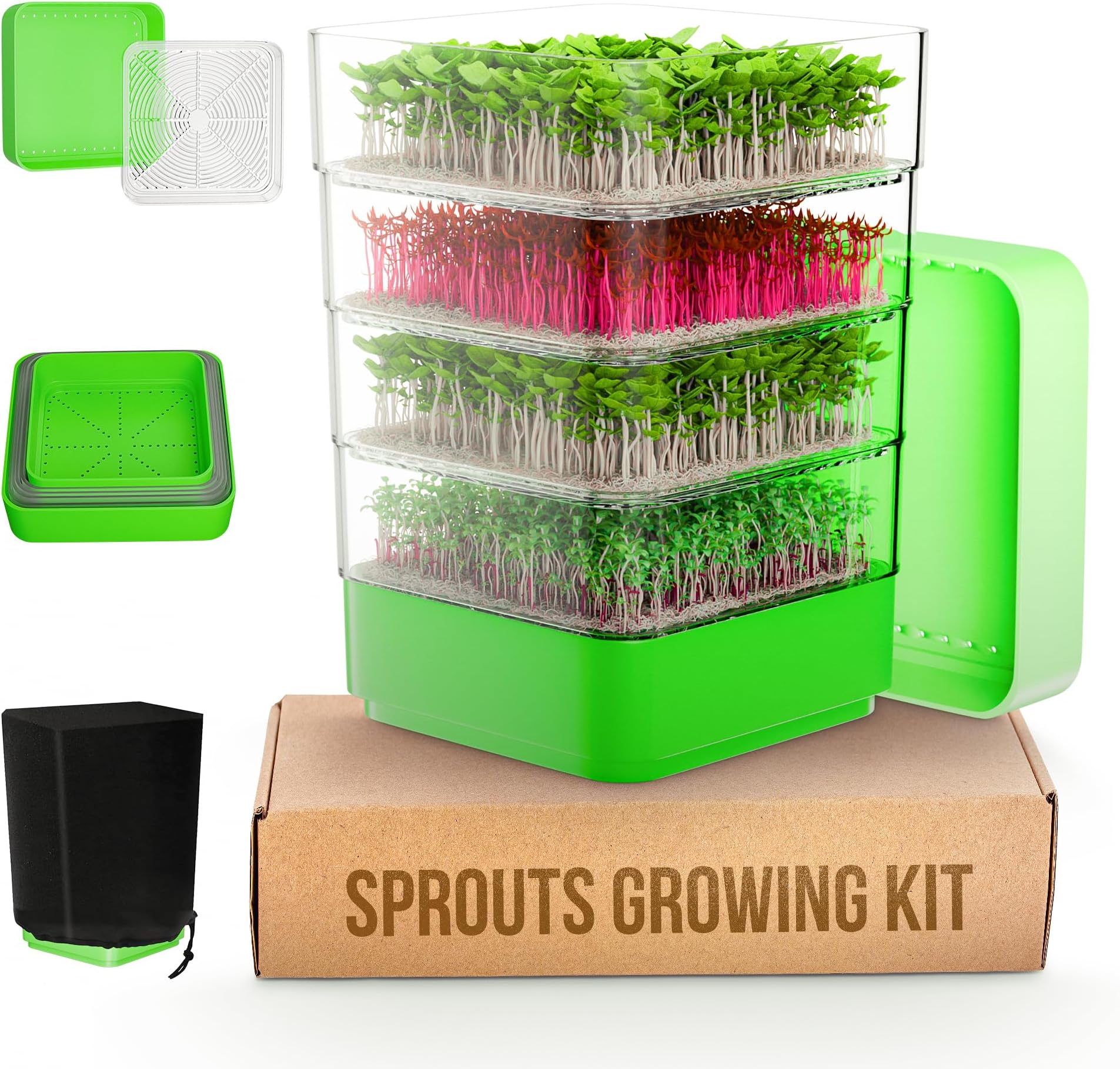 Amazon.com : Botanical Interests USA Made Seed Sprouter to Grow Your ...