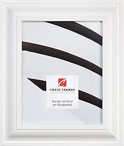 Amazon.com - Craig Frames Upscale, 20x30 Picture Frame, White Satin Mica