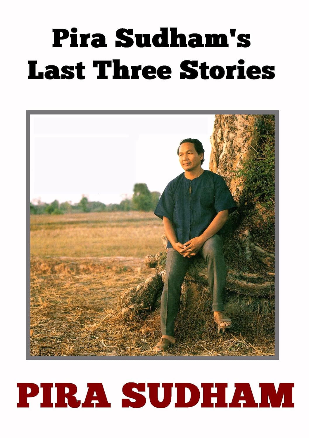 Pira Sudham’s Last Three Stories eBook : Sudham, Pira: Amazon.in ...