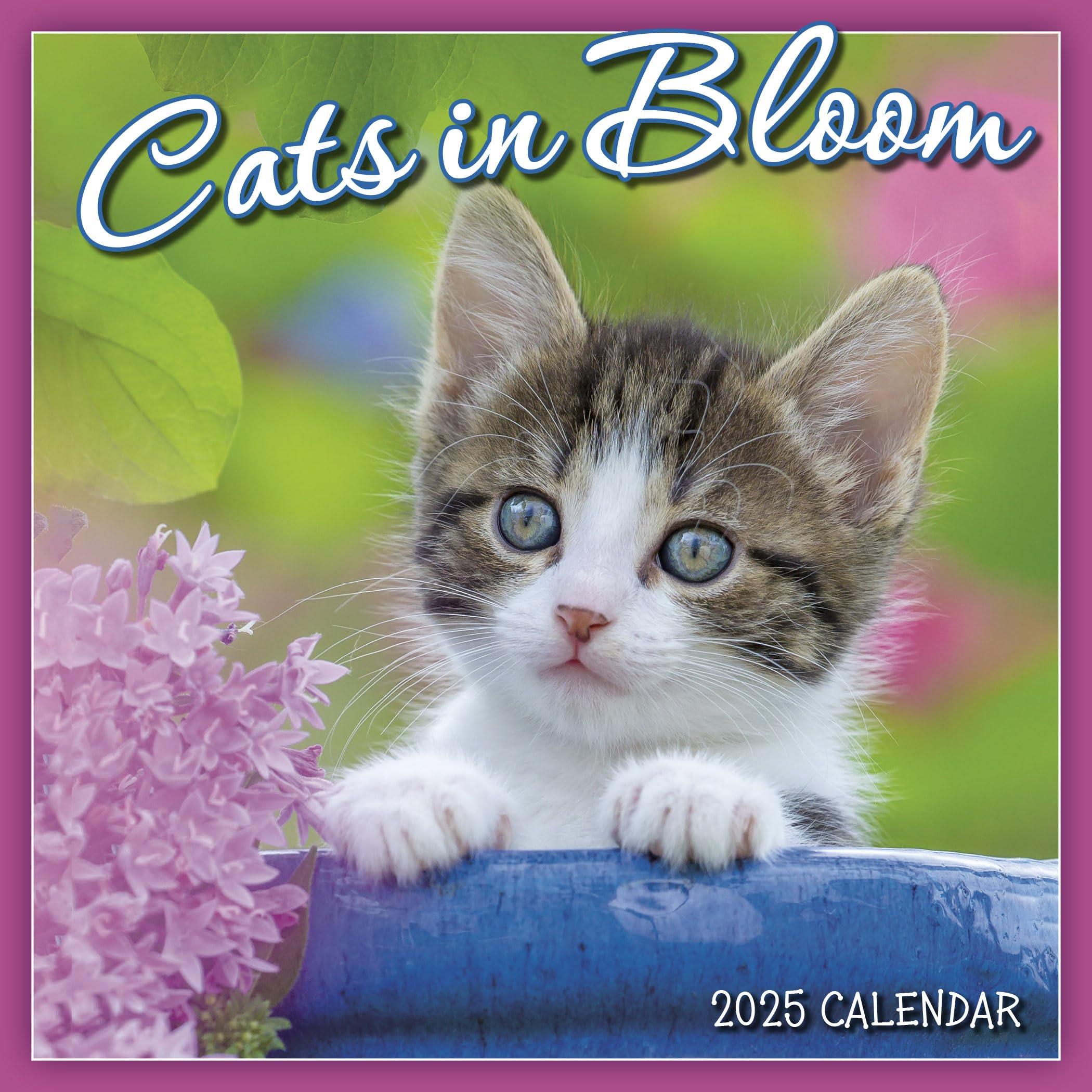 Cats in Bloom 2025 Mini Calendar, 7" x 7" : Amazon.ca: Office Products
