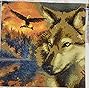 5D Diamond Painting Kits for Adults, DIY Large Diamond Art Wolf Full ...