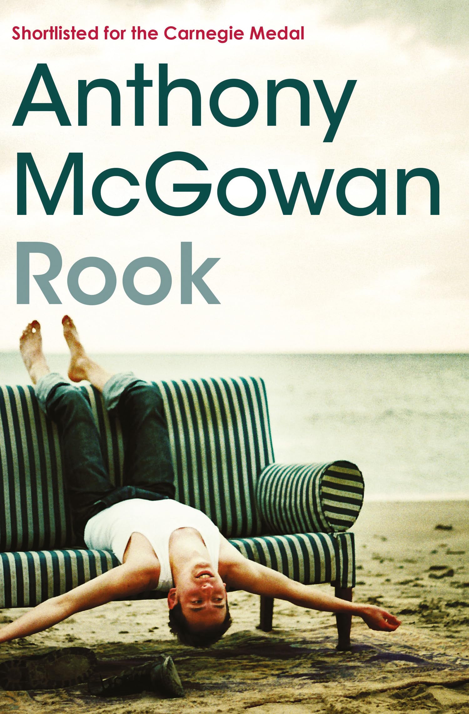 Rook: A poignant, beautifully written novella about growing up and ...