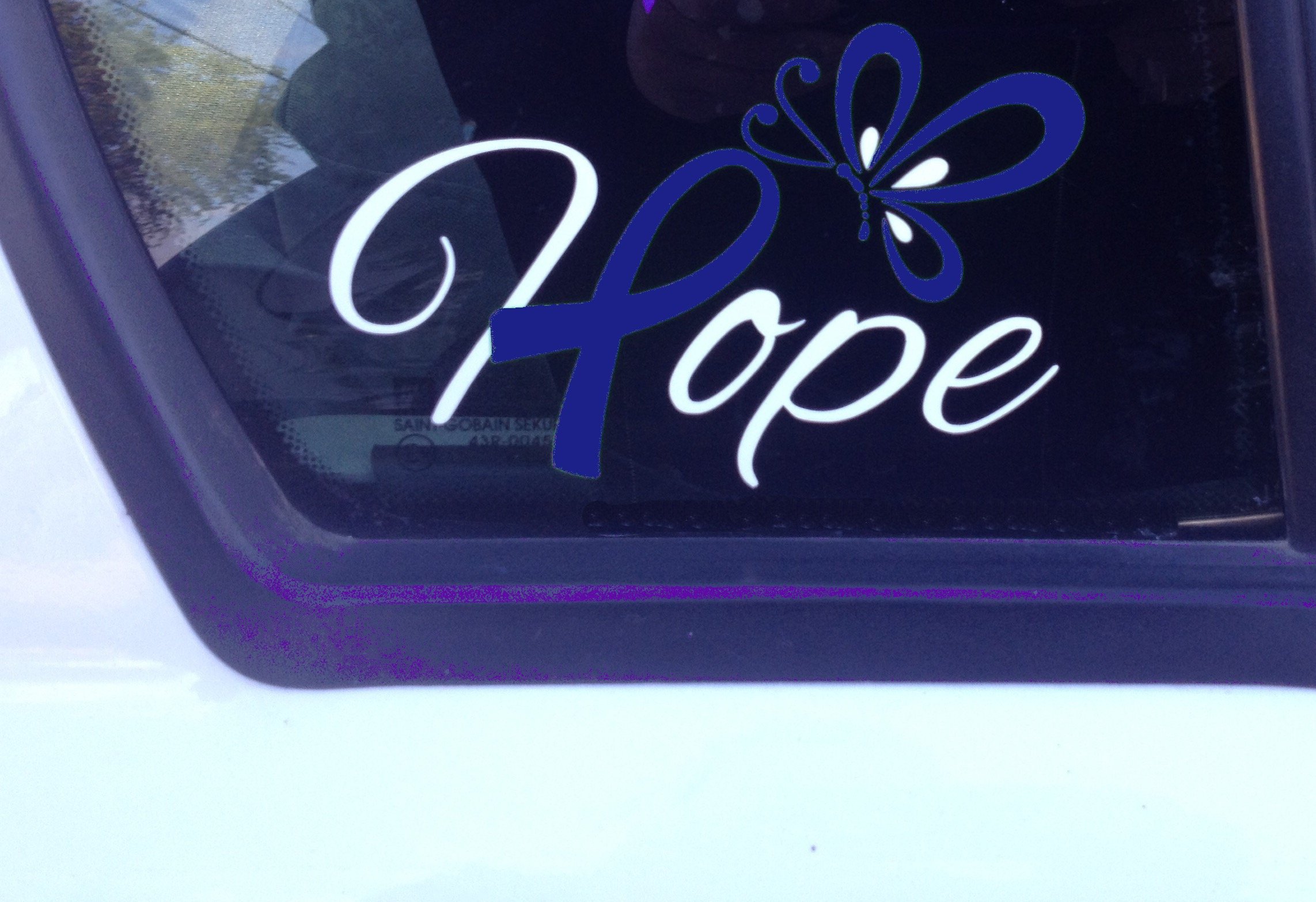 Buy Blue Awareness Ribbon Hope with Butterfly Window Decal (Apraxia ...