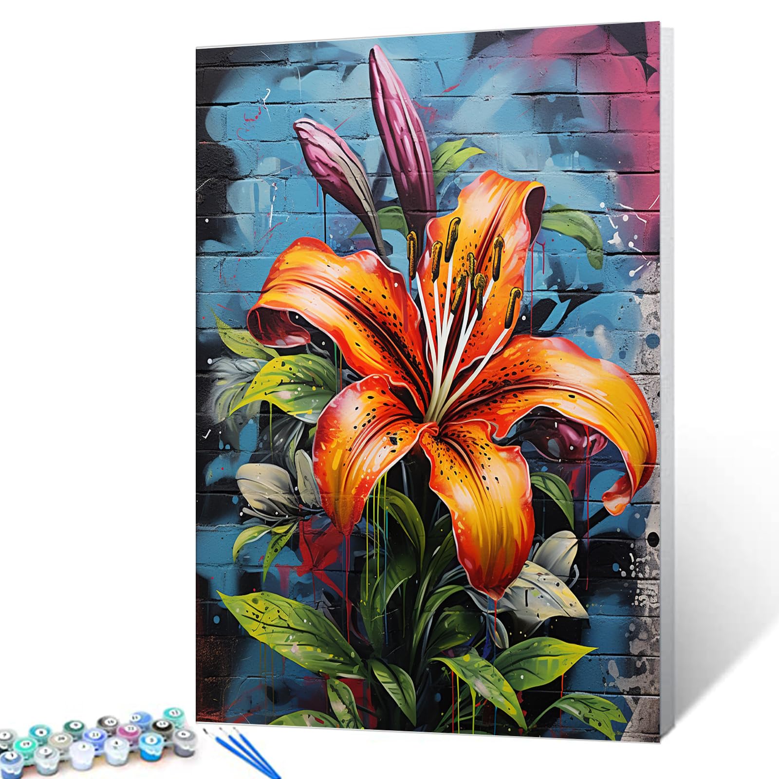 Amazon.com: Lilly Flowers DIY Paint by Numbers for Adults Doodle ...