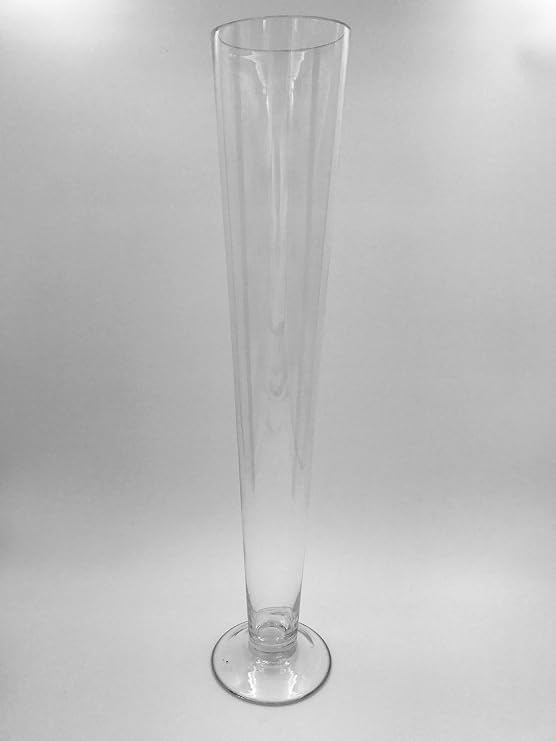 Amazon.com: Craft And Party, Sets of 6, Clear Trumpet Vases, 24" Height ...