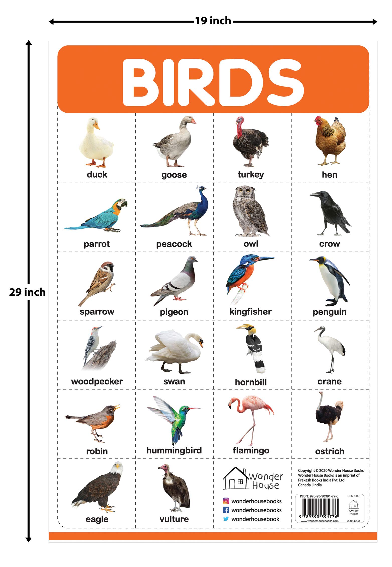 Birds - My First Early Learning Wall Posters: For Preschool ...