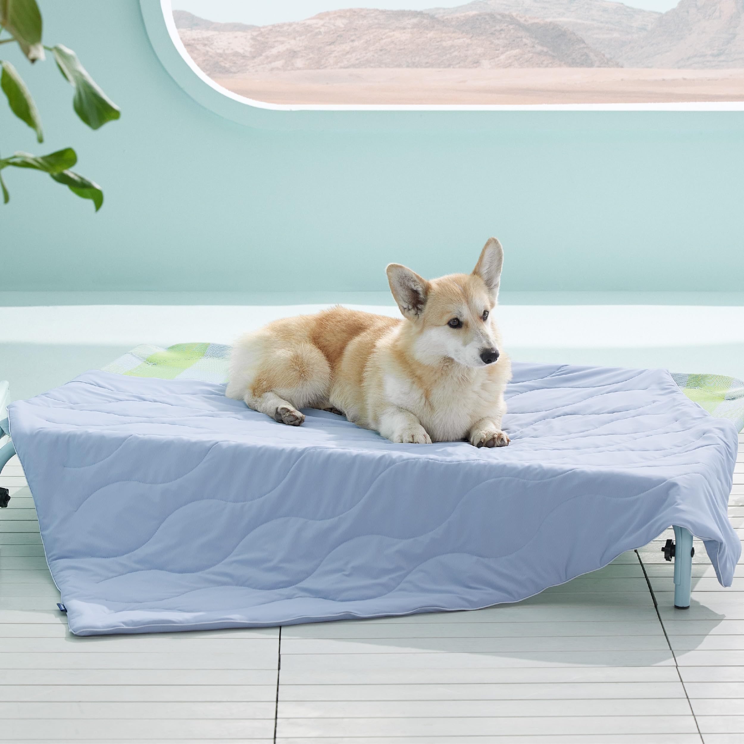 5 Best Pet Cooling Mat | Chill Without Electricity