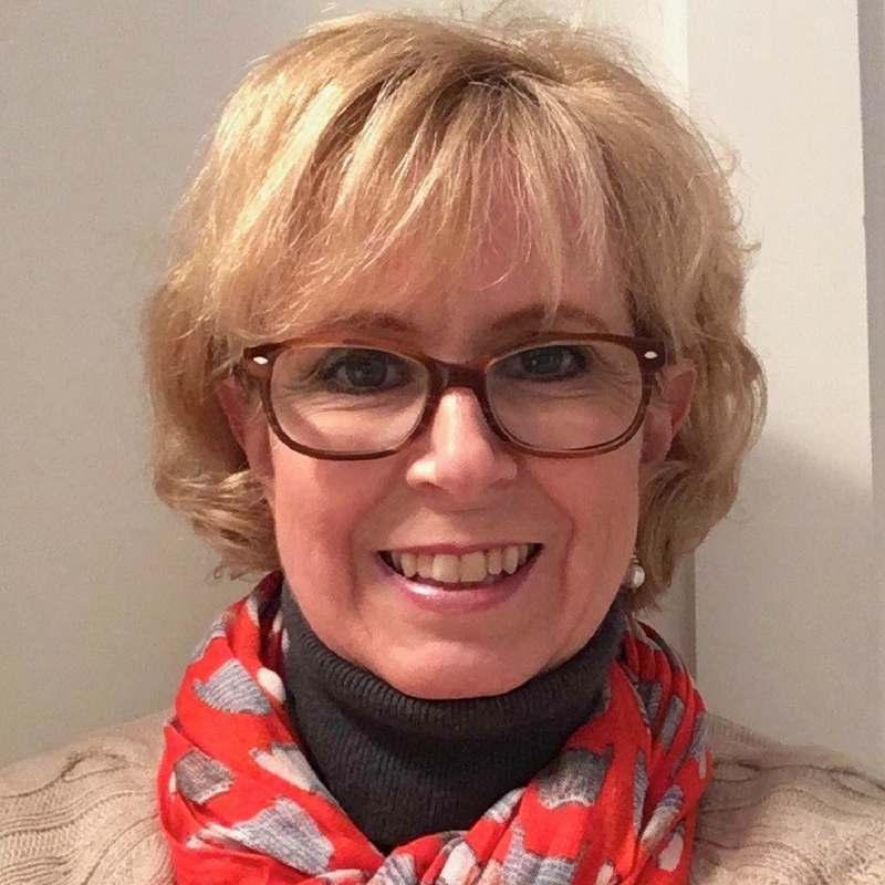 Amazon.com: Amy Metz: books, biography, latest update