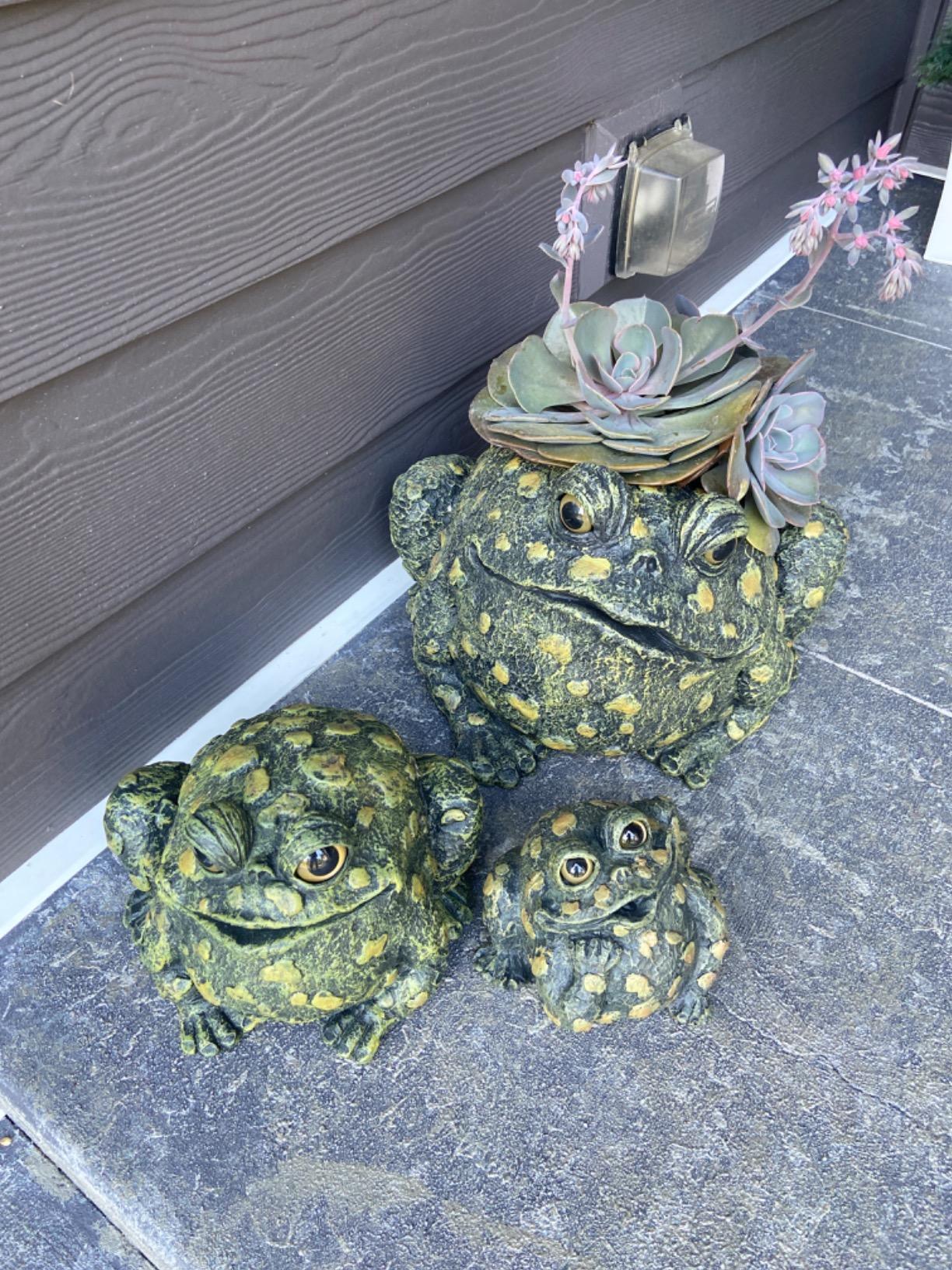 Amazon.com: Toad Hollow "Romeo Motion Activated Whistling Toad Statue 6 ...