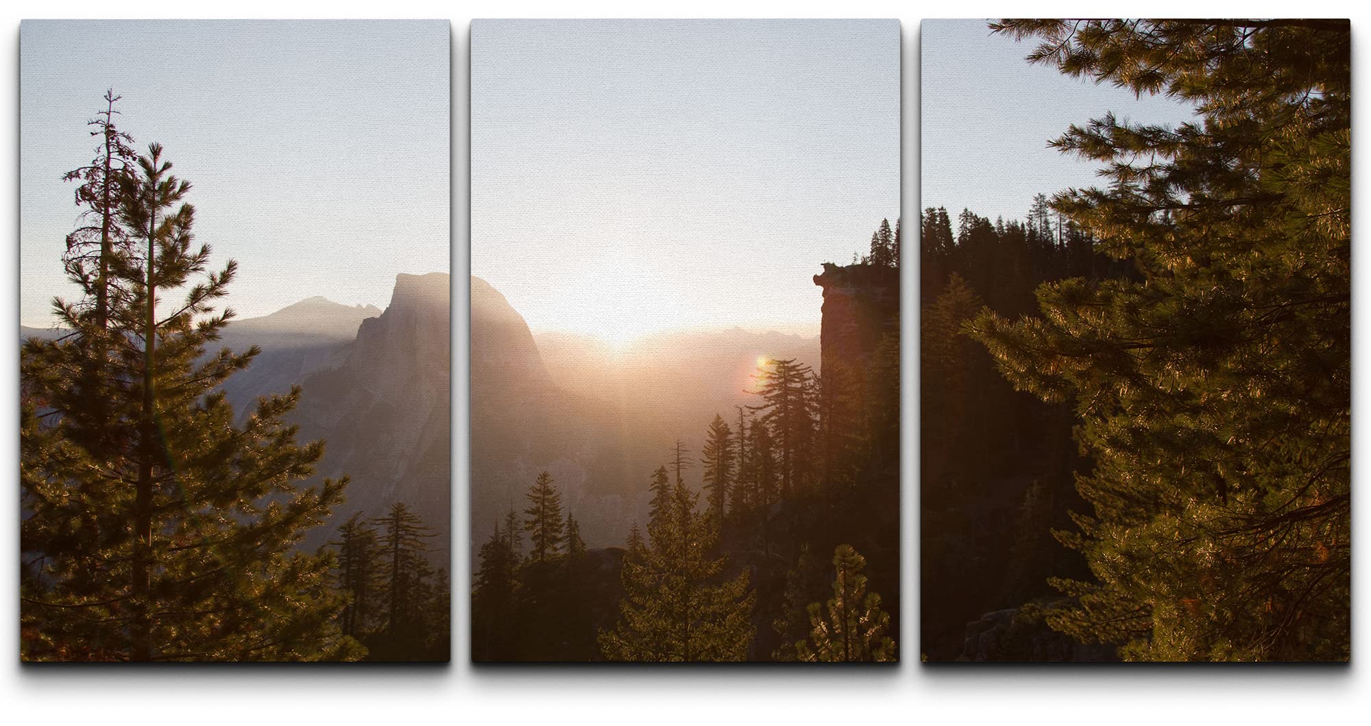 Contemporary Photography Nature