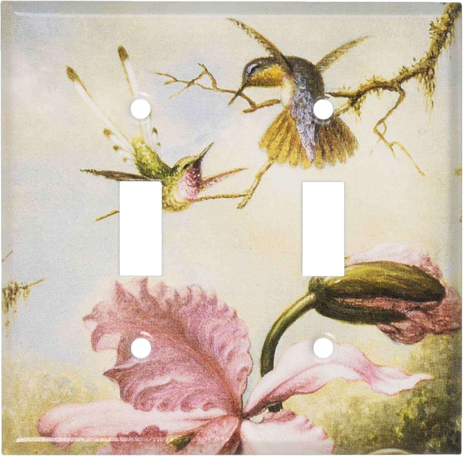 Art Plates - Heade: Orchids & Hummingbirds Switch Plate - Double Toggle ...