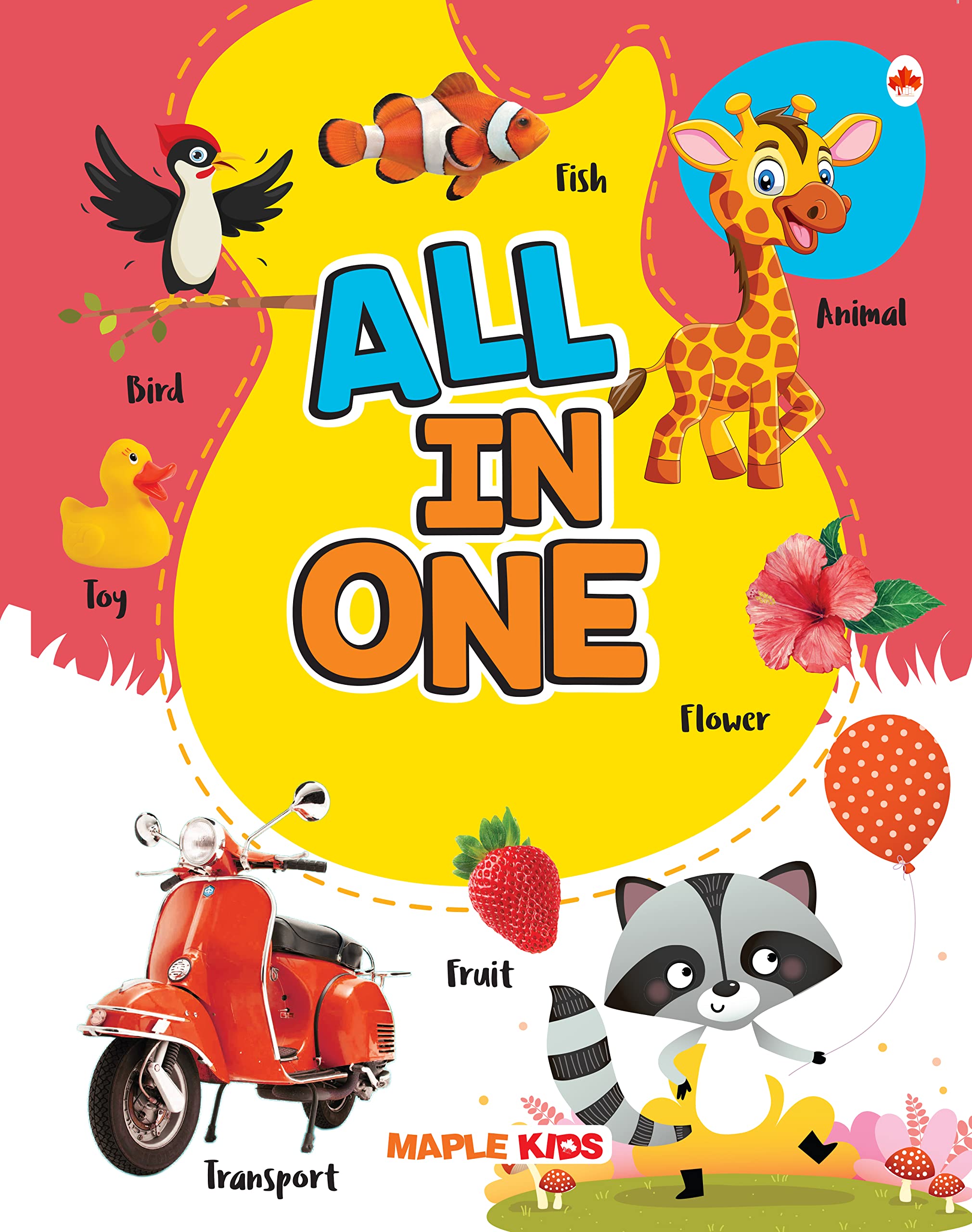 Buy All in One - Picture Book for Kids and Early Learners – Vocabulary ...