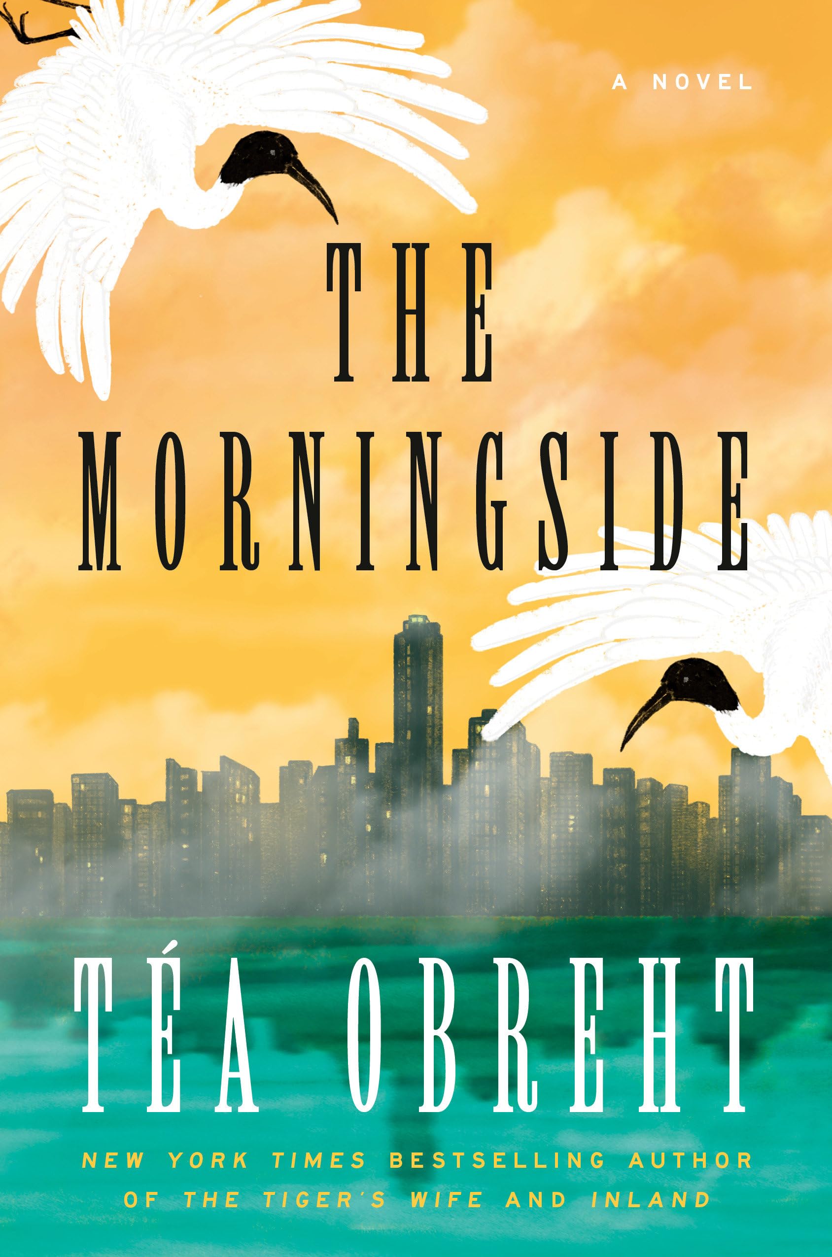 Amazon.com: The Morningside: A Novel: 9781984855503: Obreht, Téa: Books