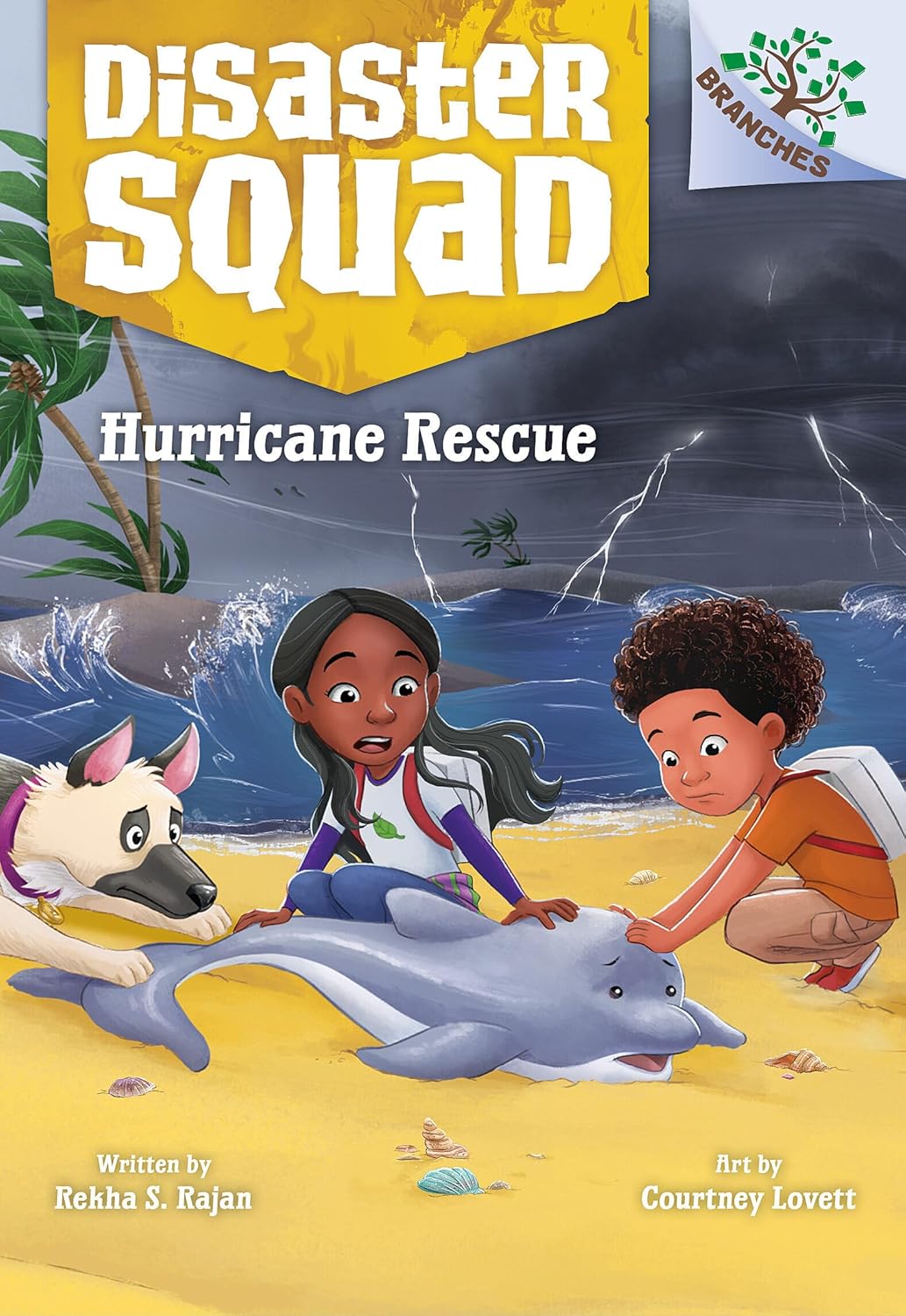 Amazon.com: Hurricane Rescue: A Branches Book (Disaster Squad #2): 9781338828870: Rajan, Rekha S ...
